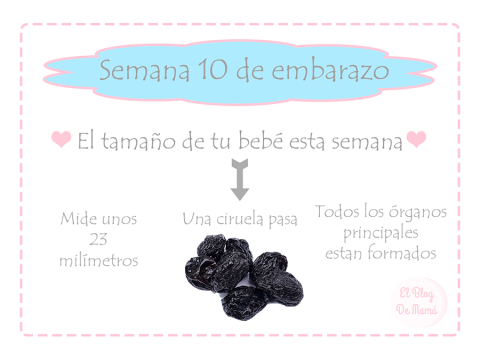Descubre la SEMANA 10 de EMBARAZO: Tips y Cambios!